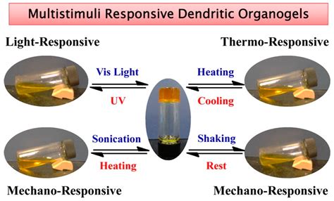 Peptide Based Physical Gels Endowed With Thixotropic Behaviour
