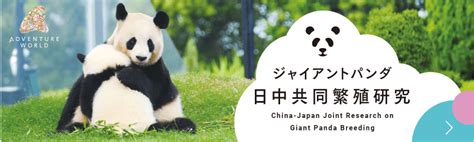 永明30歳記念サイト｜アドベンチャーワールド