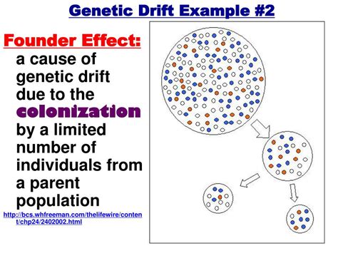 Ppt Microevolution Powerpoint Presentation Free Download Id 2350337