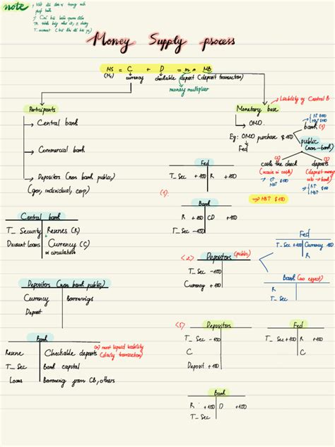 tutorial 11 questions pdf federal reserve reserve requirement