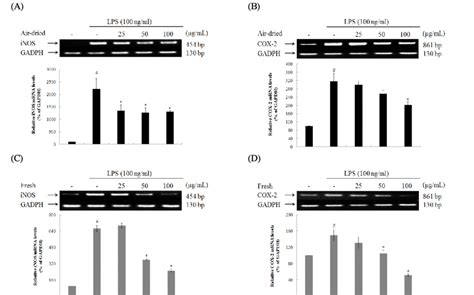 Inhibitory Effects Of Abeliophyllum Distichum Nakai Leaves On The Mrna