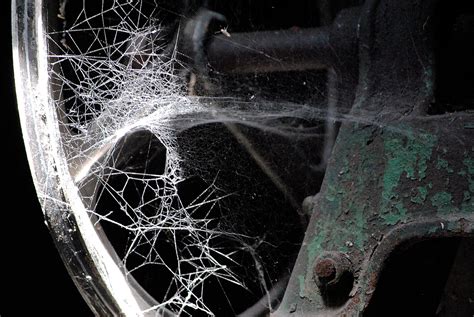 Spider Net Detail Attic Summer Free Photo On Pixabay Pixabay