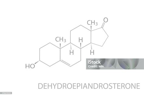 Dehydroepiandrosterone Molecular Skeletal Chemical Formula Stock Illustration Download Image