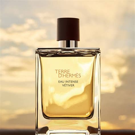 Terre D Hermès Eau Intense Vétiver Hermès Sabina