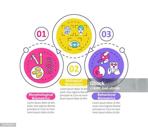 Modèle Dinfographie Vectorielle Des Types De Biométrie Vecteurs Libres