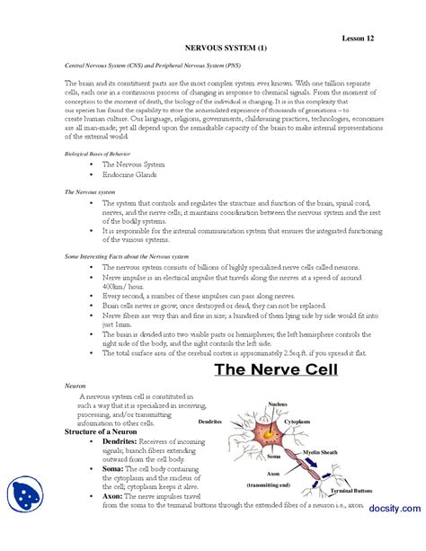 Nervous System I Introduction To Psycology Lecture Handout Docsity
