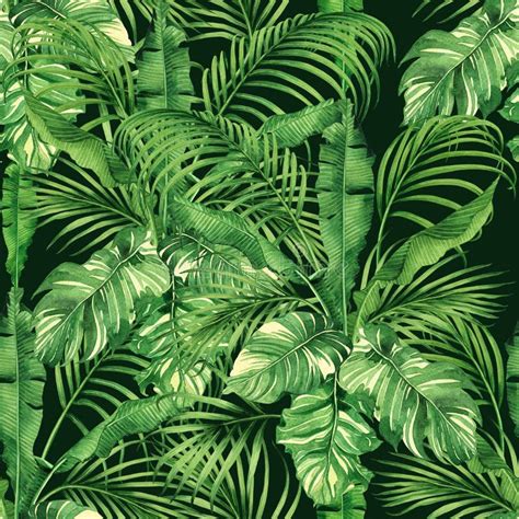 Watercolor Painting Tree Coconut Palm Leaf Green Leaves Isolated On
