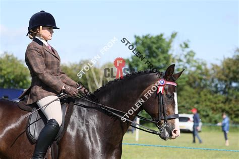 C416653 2025 1st Class Images