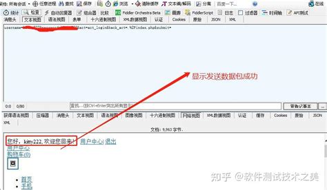 一文带你全面解析如何用fiddler发送post数据包（菜鸟级教程） 知乎
