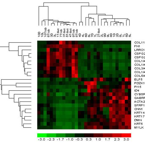 Hierarchical Clustering Of Tumor And Normal Samples Based On 25 Probe Download Scientific