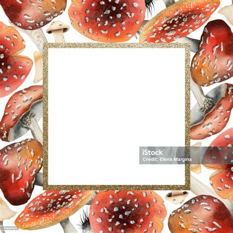 사각형 빨간 파리 Agarics 버섯 프레임은 흰색 배경에 분리된 금색 테두리 수채화 그림이 있습니다 소셜 미디어 전단지 또는