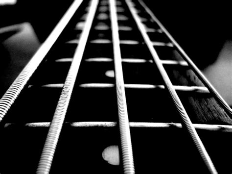 Portfolio 1 Strings Balsakagewea