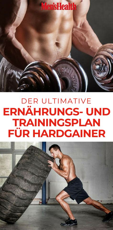 Dicke Muckis für Hardgainer Hardgainer Trainingsplan und Hardgainer