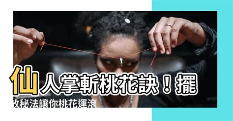 【仙人掌 桃花】仙人掌斬桃花訣！擺放秘法讓你桃花運滾滾來 每日新聞 Daily News Feeding