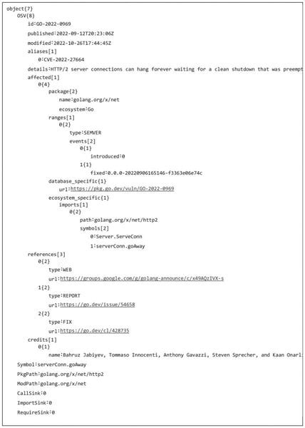 Tool For Vulnerability Checks In Golang