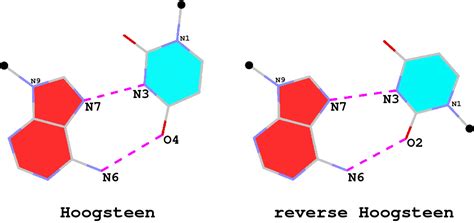 X3DNA DSSR Homepage Nucleic Acid Structures