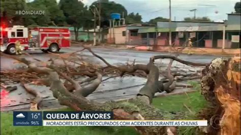 Vídeo Chuva Forte Causa Queda De árvores Bom Dia Df G1
