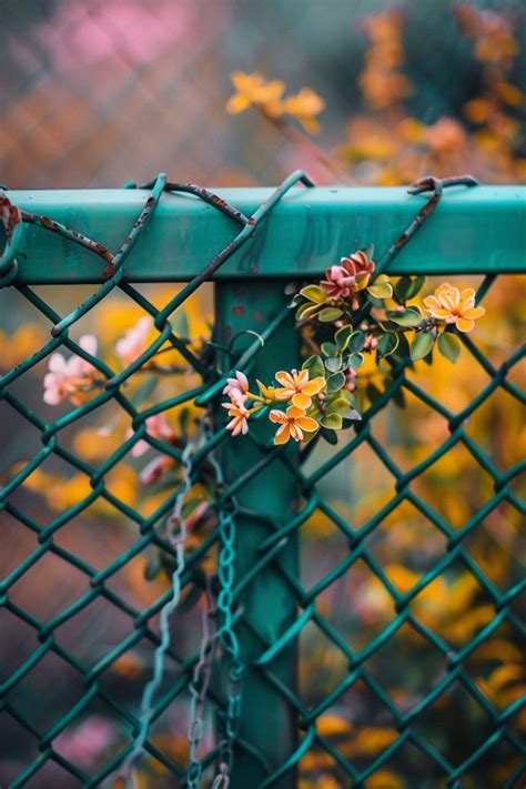 Creative Welded Wire Fence Gate Ideas For Yards