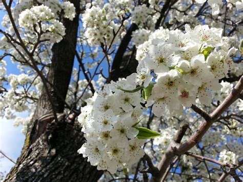 Does It Like Totally Smell Like Semen Outside Or Is That Just Me