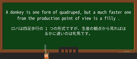 【英単語】fillyを徹底解説！意味、使い方、例文、読み方 おもしろい英文法