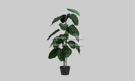 Blender 绿色芋头树盆栽盆景绿植3d模型素材资源免费下载 Blender3d模型库