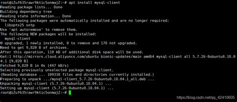 阿里云服务器（ubuntu） mysql的安装和部署 阿里云ubuntu怎么安装mysql csdn博客
