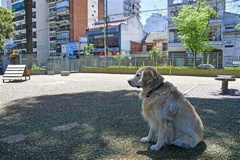 Día del Guardaparques de la Ciudad así trabajan los que cuidan los espacios verdes Infobae