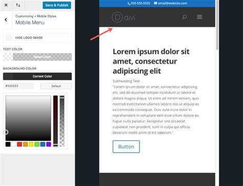 The Ultimate Guide To The Divi Theme Customizer
