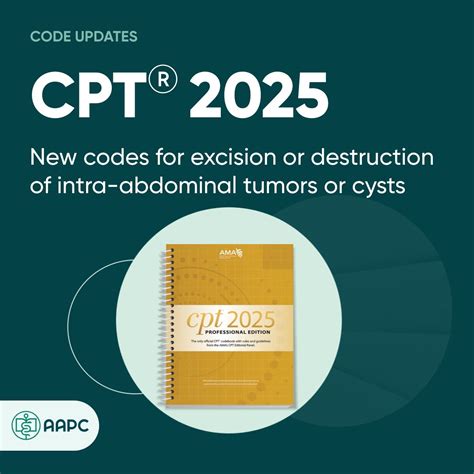 Cpt®️ 2025 Added Five New Codes 49186 49190 To Describe The Excision