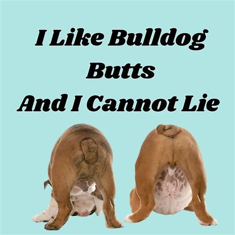 Cascade Bulldogs A Bulldog Blog Artofit