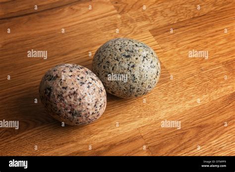 Fossilized Eggs