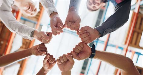 Executive Team Building Strategies For Cohesive Leadership