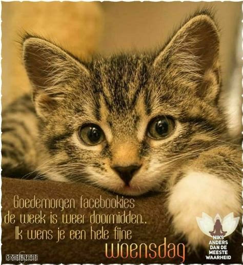 Pin Van Erika Dedeurwaerder Op Woensdag In Goedemorgen Woensdag