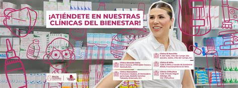 Ine Bc Si Cumples 18 Años Antes Del 11abr Tramita Tuine Antes Del