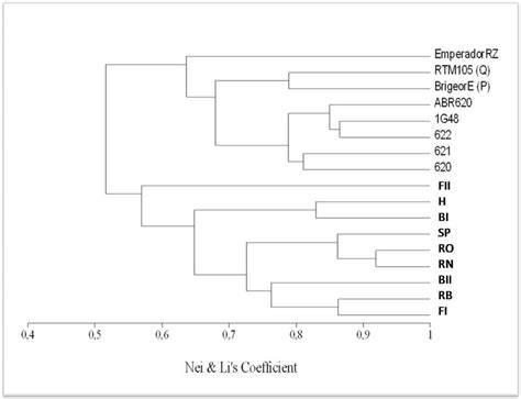 Dendrogram Constructed From Ssrs Data Showing Relationship Among The