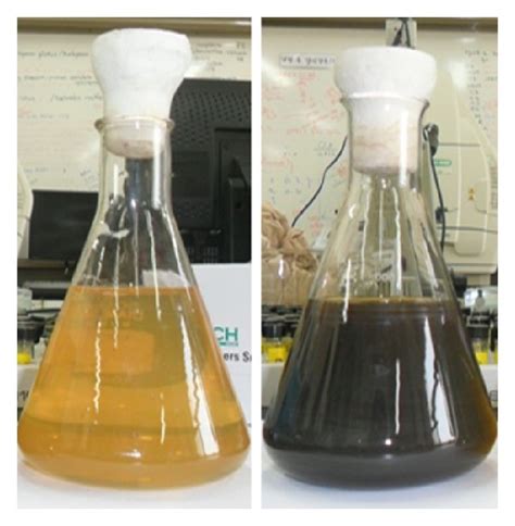 Synthesis Of Agnps By Medicinal Plant Extracts By Addition In A Silver Download Scientific