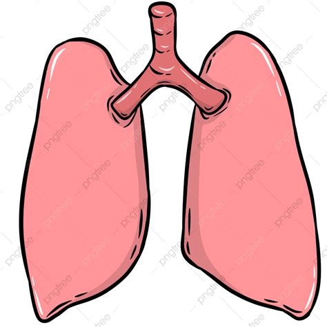 폐 Png 일러스트 Psd 및 클립 아트에 대한 무료 다운로드 Pngtree