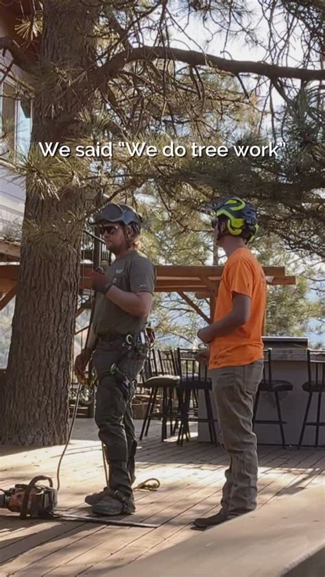 Jason Scherf Mountainlandscaper • Instagram Photos And Videos