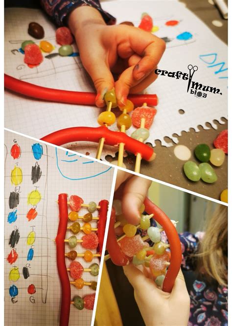 Dna Replication Model Project Ideas