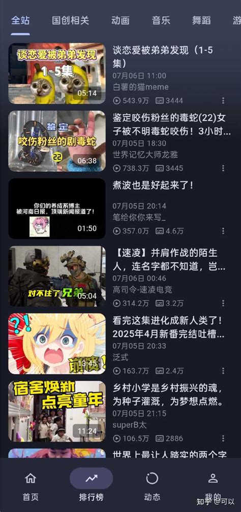 如何评价哔哩哔哩白图标版app即将下架？ 知乎