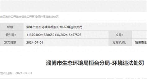 违反大气污染防治条例，山东宏元环保科技有限公司被罚245万 产经 文化视界