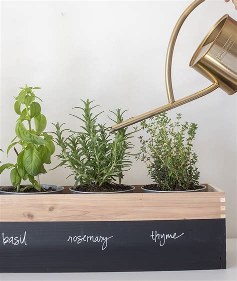 Diy Herb Garden Planter Alice And Lois