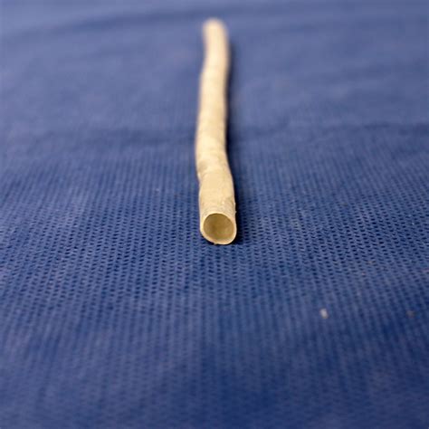 Ureter Lifelike Biotissue