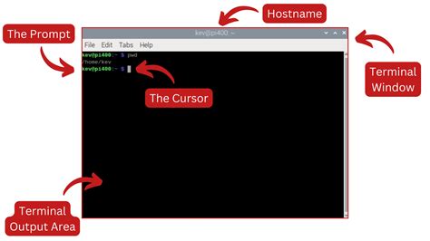 Introduction To The Terminal