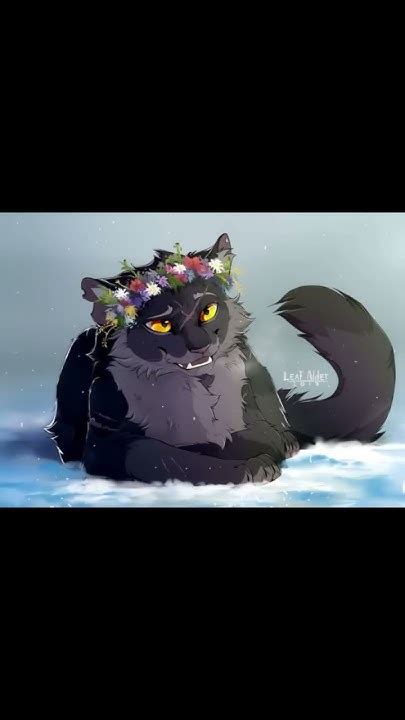 Thunderclan Medicine Cats Edit Warriorcats Cats Edits Youtube