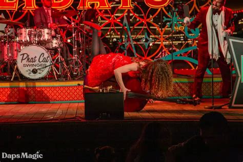 It S All About Phat Cat Swinger On PhatCatPhridays