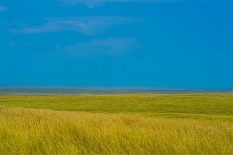 Байгалийн үзэсгэлэнт