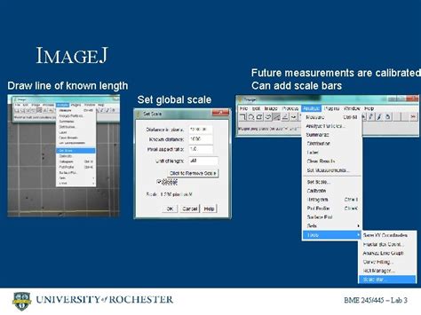 How To Draw Scale Bar In Imagej Image Drole Draw Scale Bar In Imagej