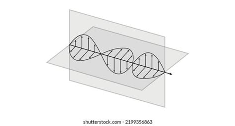 Part Electromagnetic Wave Electric Magnetic Fields Stock Vector Royalty Free