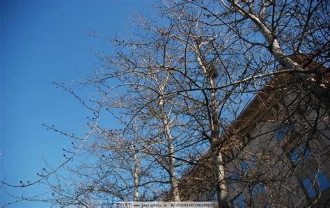 缝隙之外图片动漫卡通插画绘画 图行天下素材网